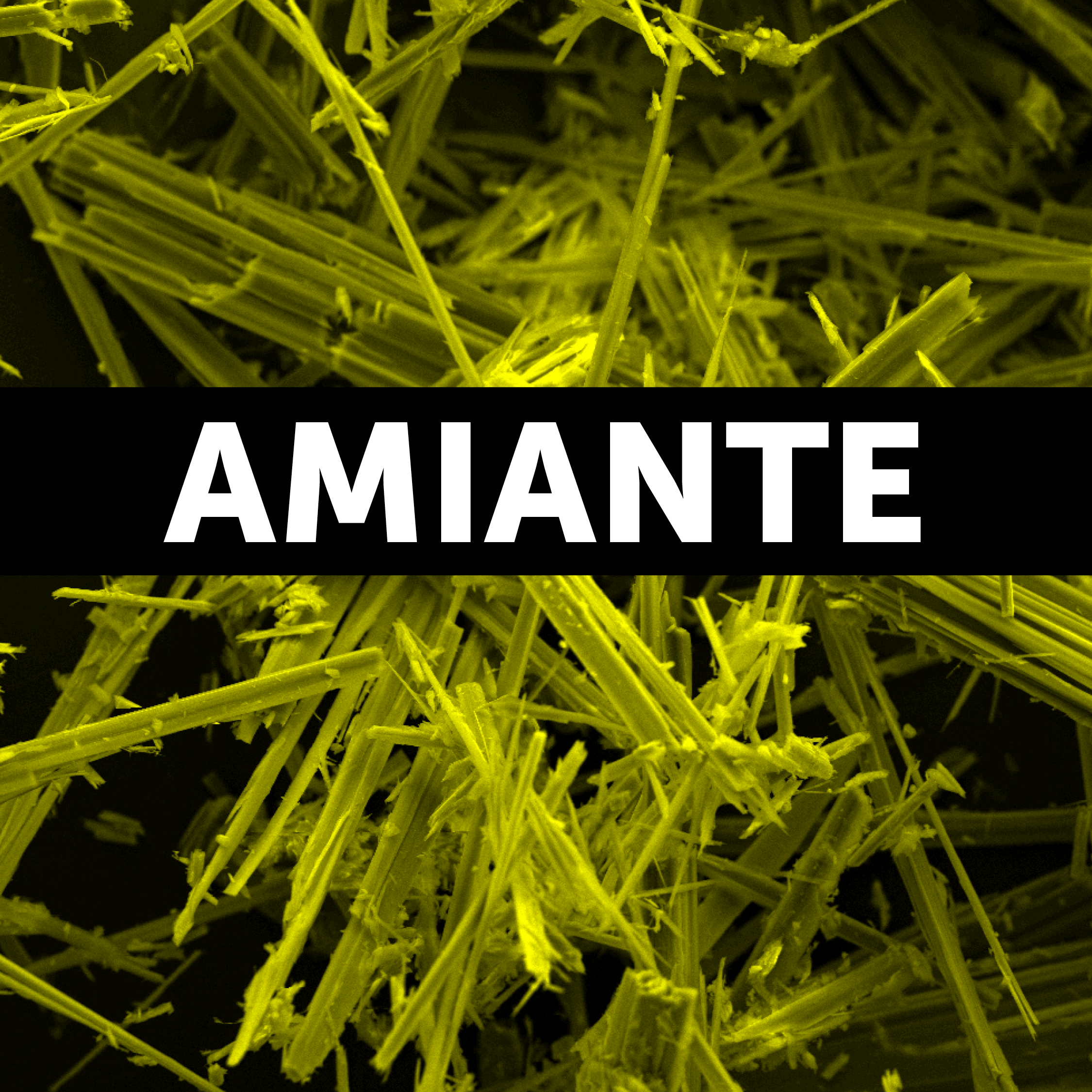 Amiante - fiche d'information | Syndicat canadien de la fonction publique