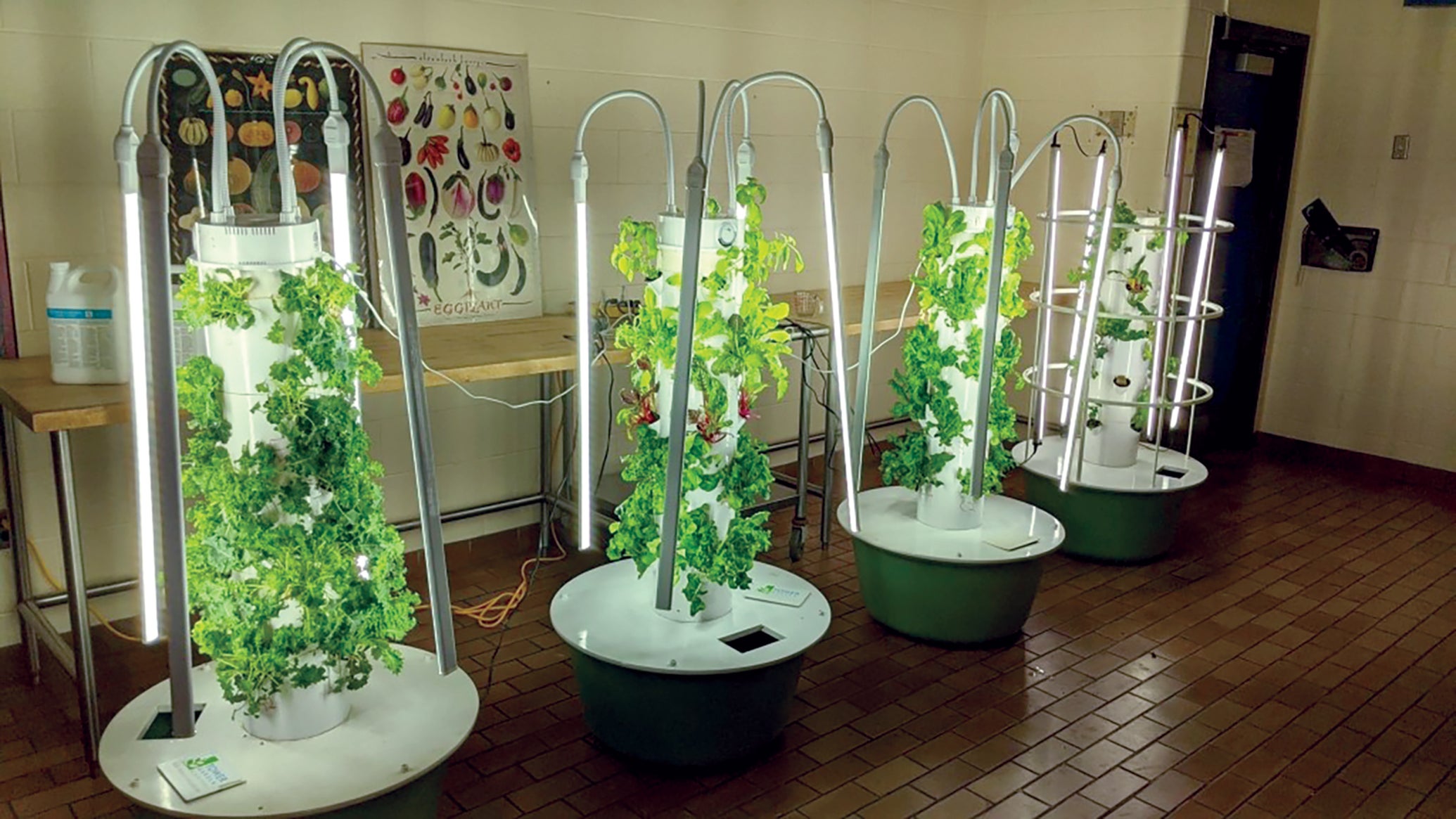 Urban farming innovation; a project that keeps on growing | Canadian ...